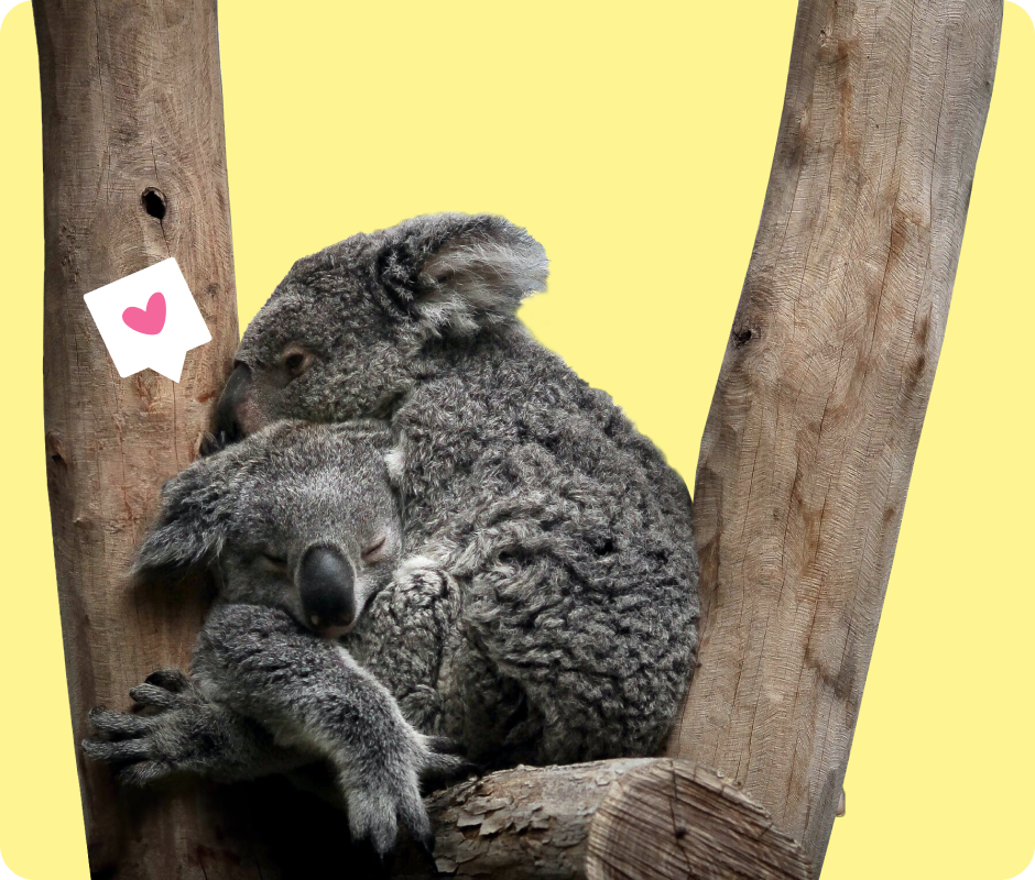 Carreiras | Coala Saúde